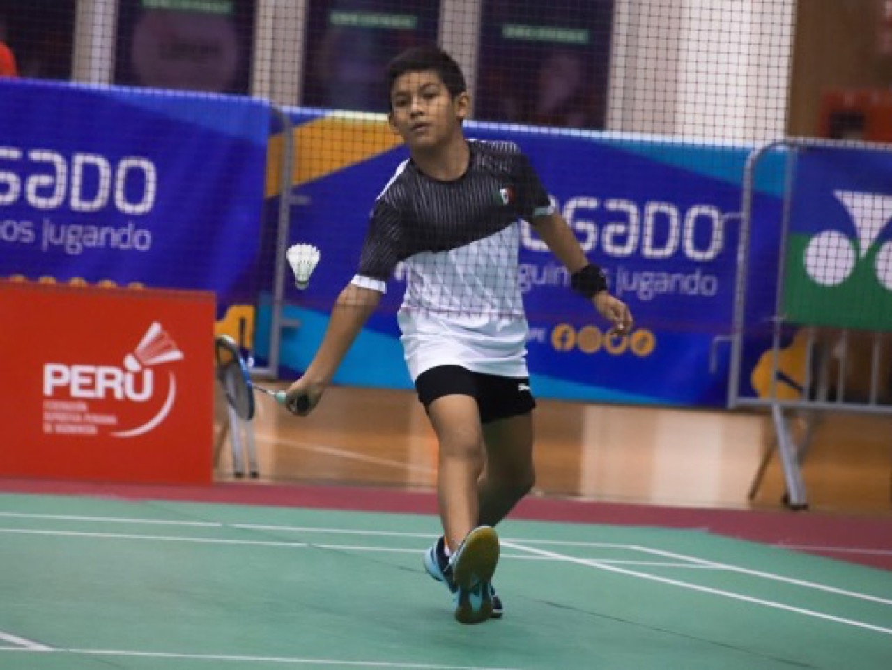 Félix Gamborino Vilchis: deportista de 9 años que llegó a octavos de ...